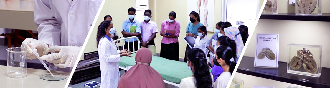 Department of Basic Sciences - University of Peradeniya